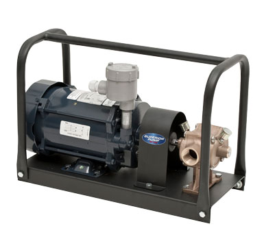 Transfer Pump, Electric, 110V